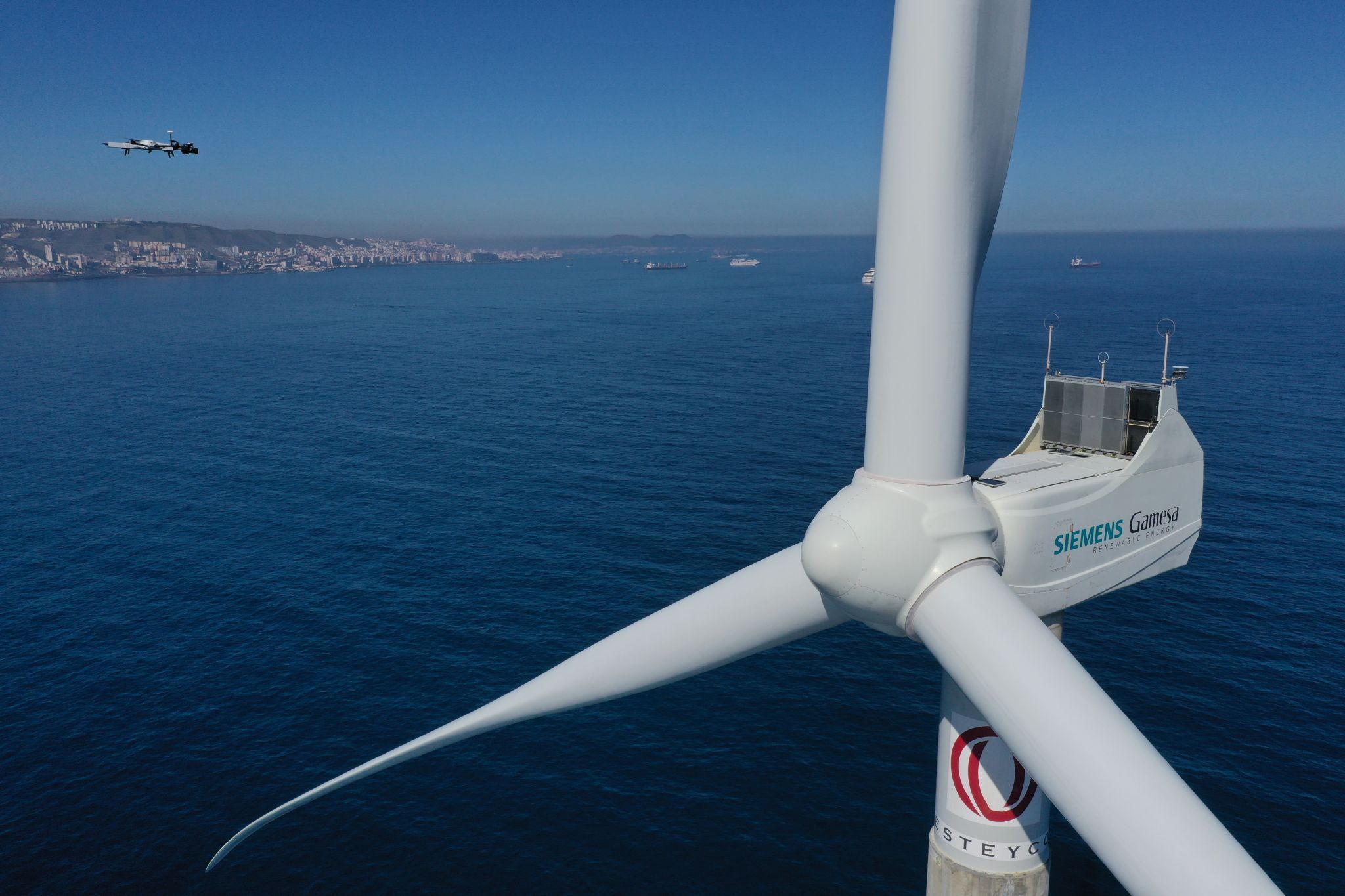 Alerion’s WEGOOI system - Alerion